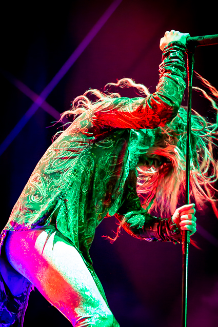 Rob Zombie Mic Stand