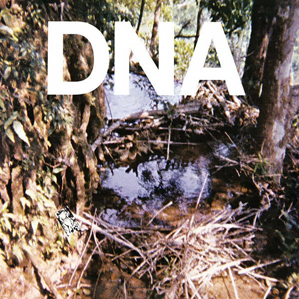 Graded on a Curve: DNA, “A Taste of DNA”